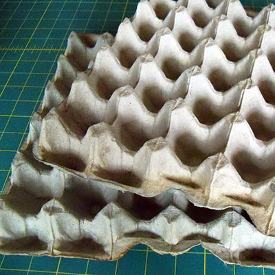 Eggbox flowers