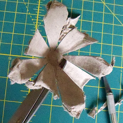 Eggbox flowers